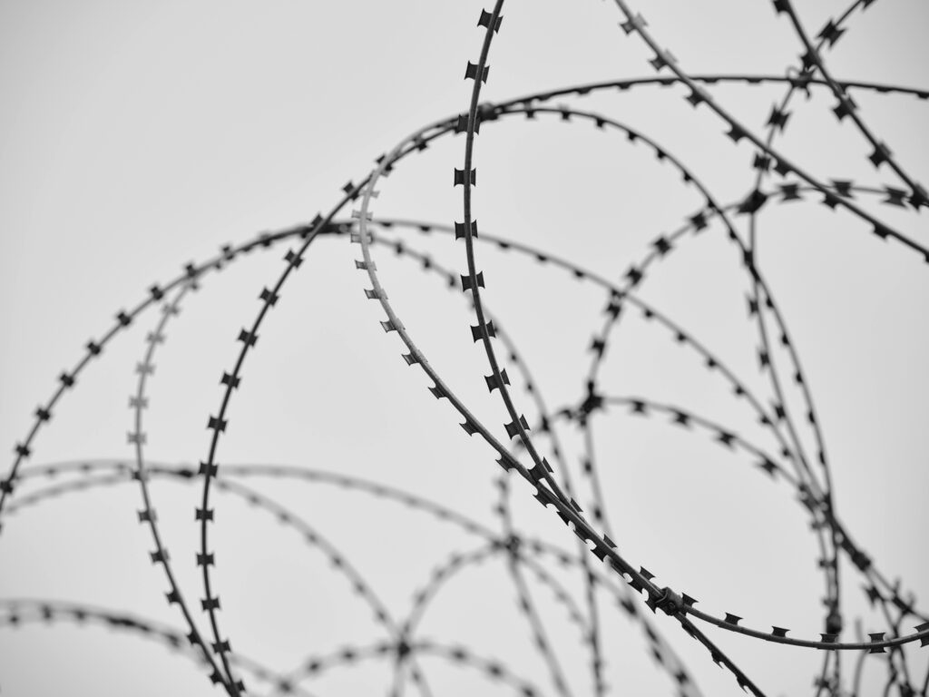 Webinar on the rights of trans people in prison: Legal insights, key ...