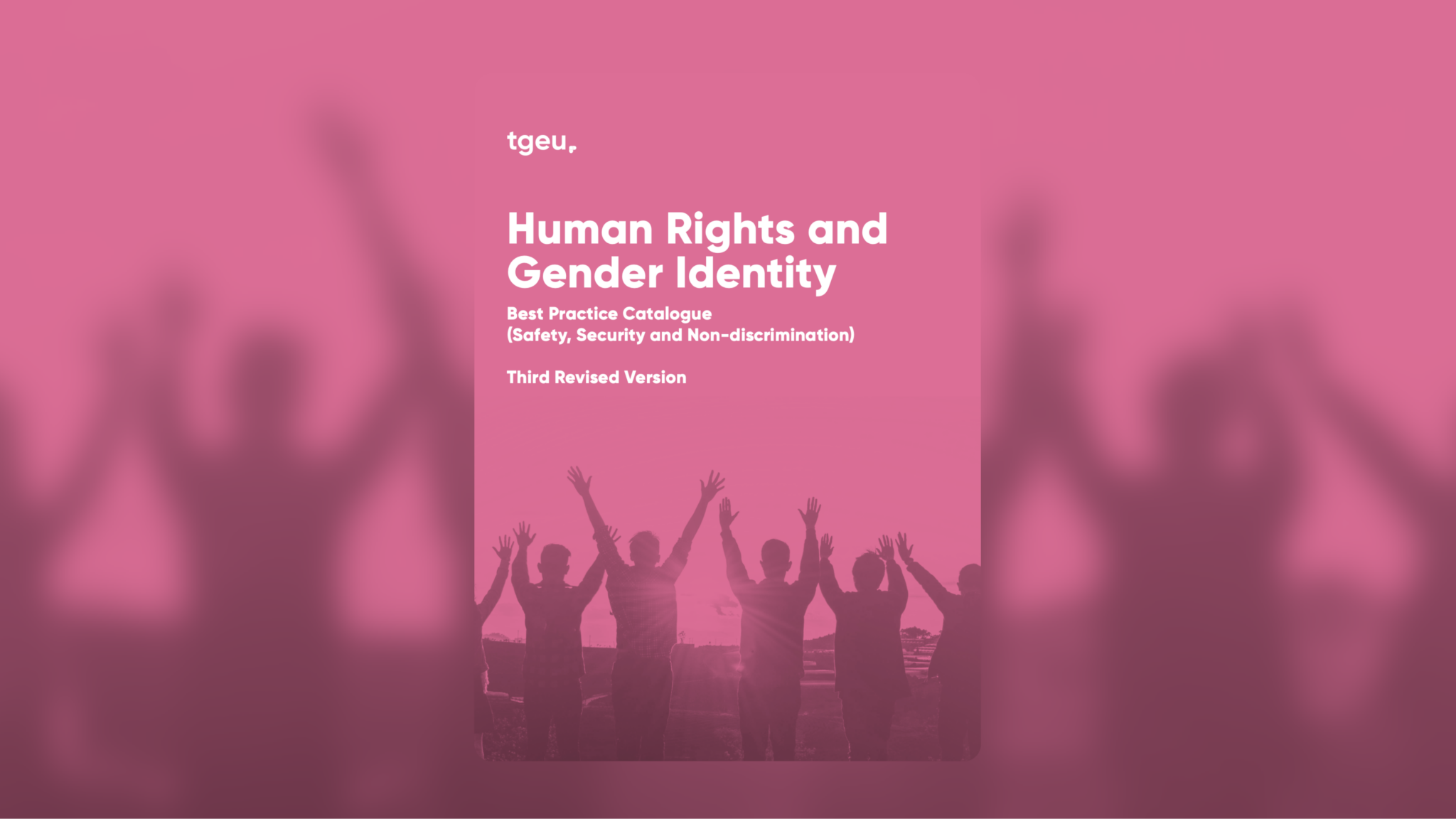 TGEU publishes Human Rights and Gender Identity: Best Practice ...